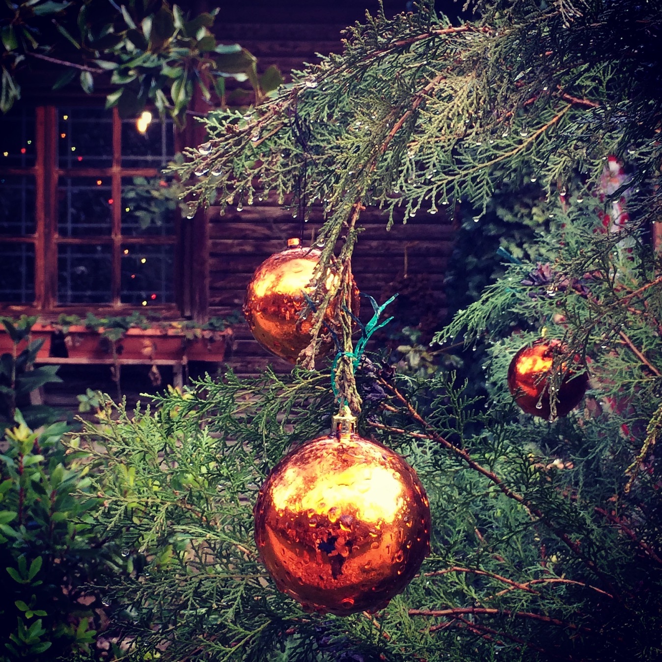 Kalanta: The Greek Christmas Carols | The Greek Vibe