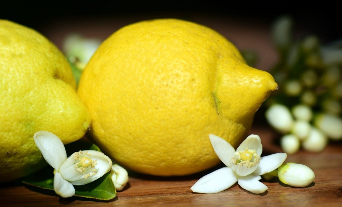 Five Ways to Boost Your Health Greek-style | The Greek Vibe