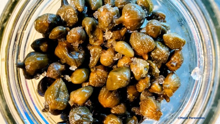 The Greek Caper: A Culinary Marvel | The Greek Vibe