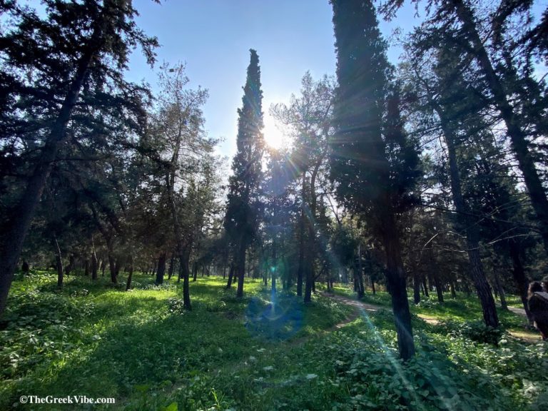 The Laws of Xenia: Greece’s Famous Hospitality | The Greek Vibe