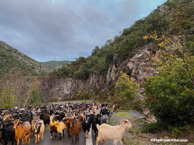 Why You Should Visit Leonidio Greece at Least Once | The Greek Vibe