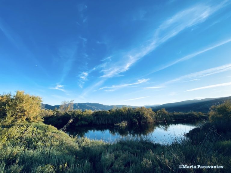 The Ultimate Travel Guide to Arcadia Greece | The Greek Vibe