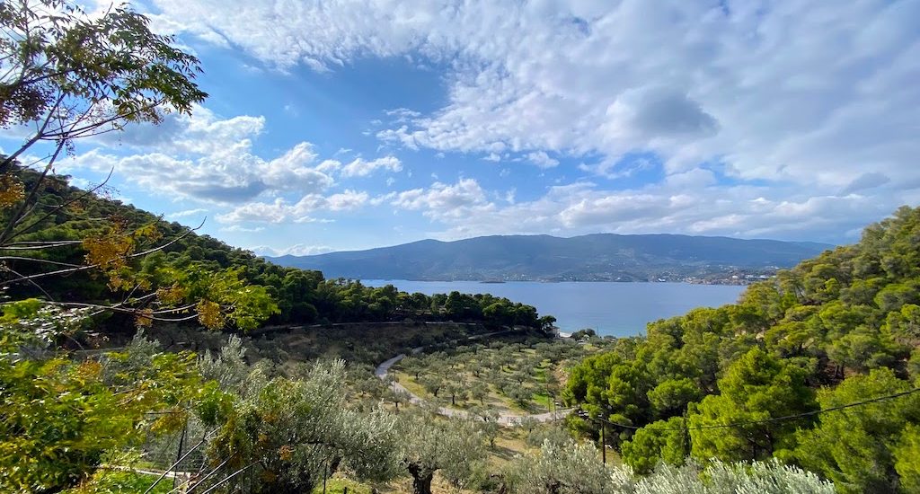 The Greek Vibe - Experience Greece Inside & Out